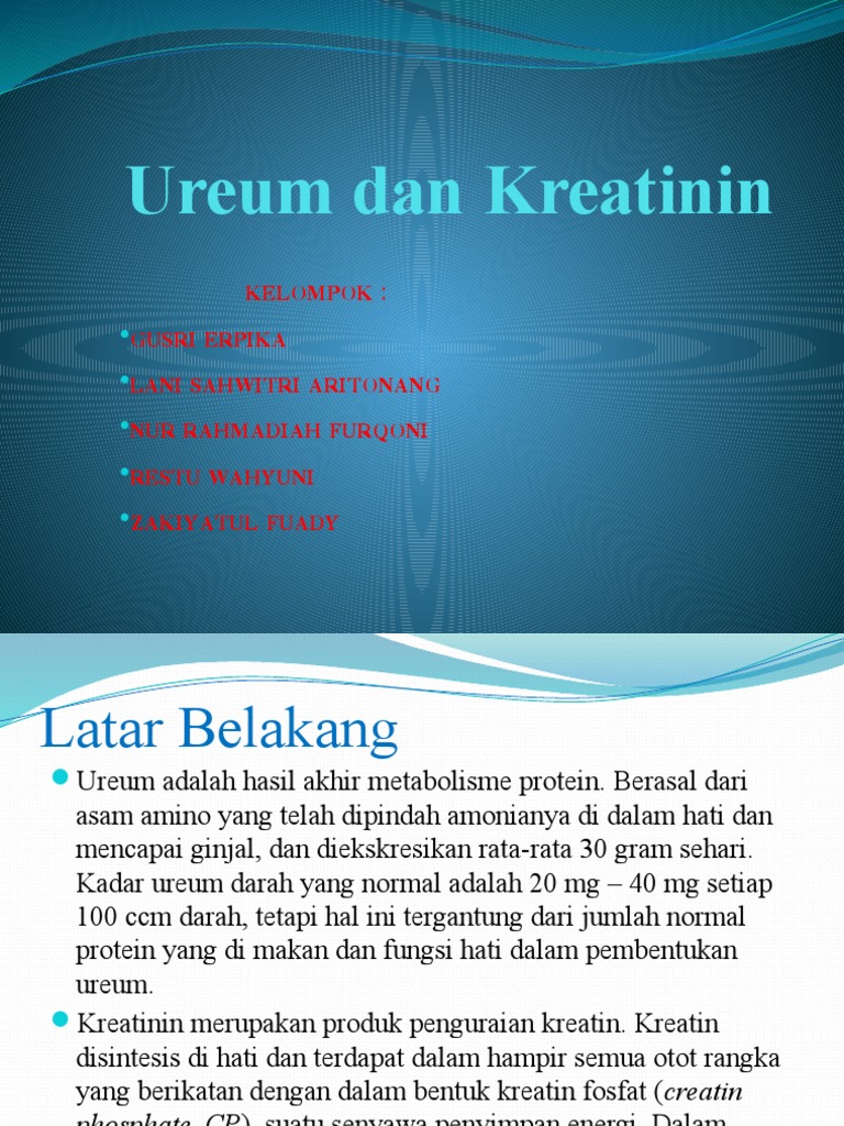 PP Ureum Keratinin | PDF