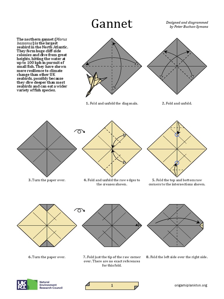Gannet Diagrams | PDF