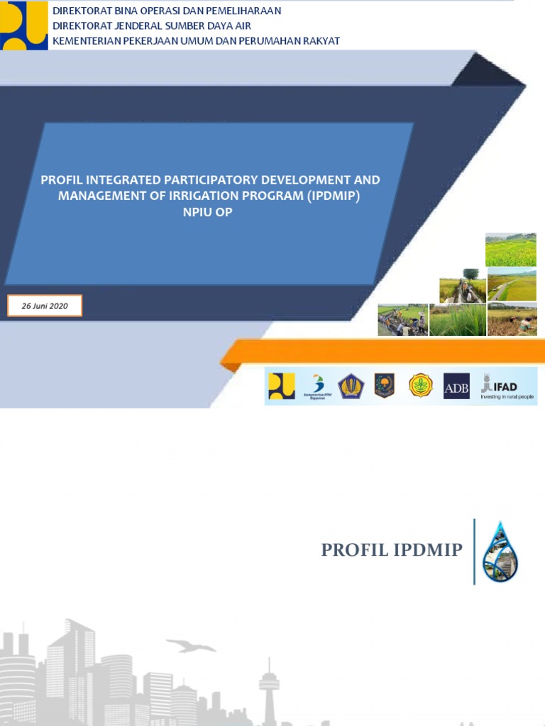 Profil IPDMIP - NPIU OP - 200626 | PDF