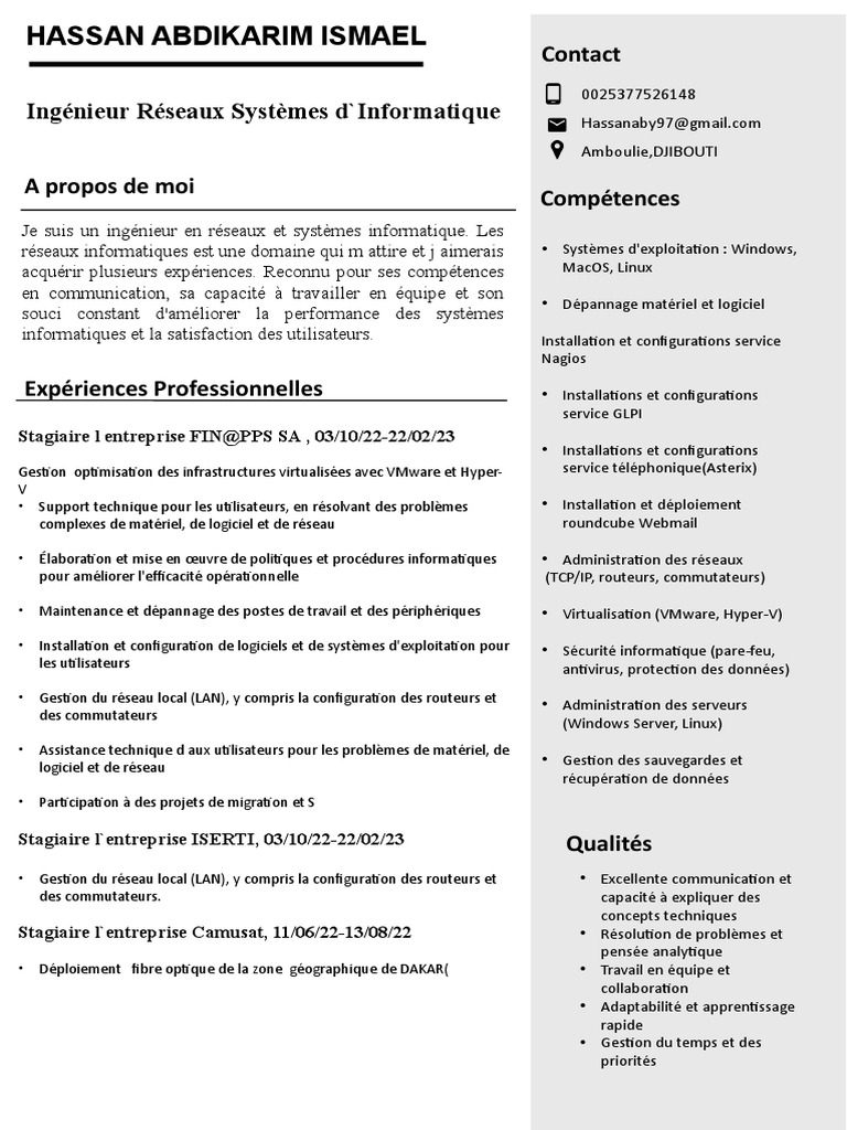 CV Technicien Informatique - Hassan Ismael | PDF | Art | Ordinateurs