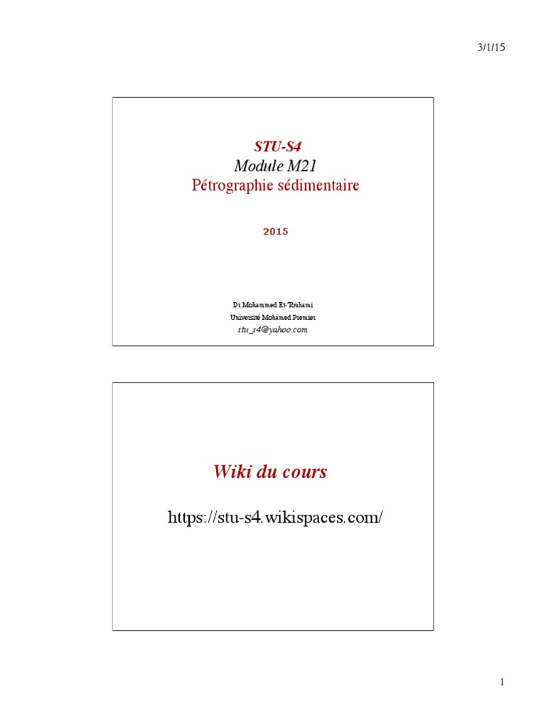Cour 1 Petrogr Stu s4 - Compressed | PDF