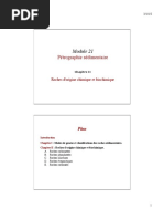 Composition et formation du calcaire | PDF | Calcaire | Carbonate