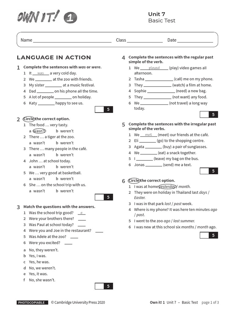 English Basics Test for Students | PDF | Whales