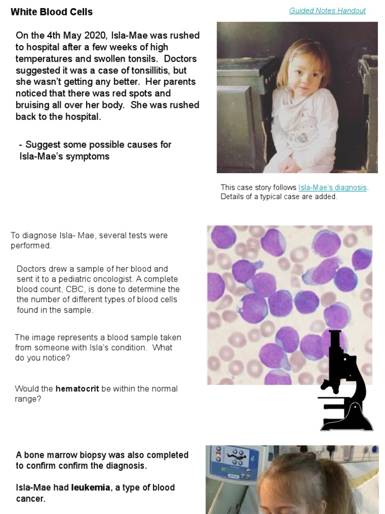 CH 09.2 White Blood Cells (New) | PDF | White Blood Cell | Granulocyte