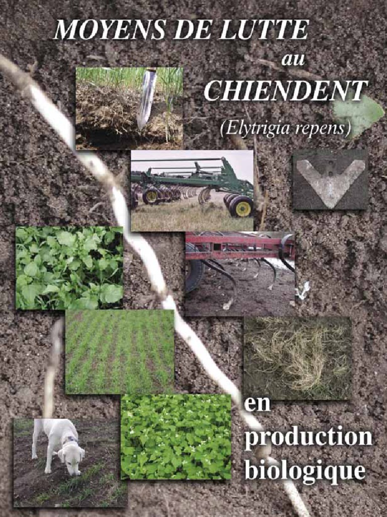 Bulletin Technique Chiendent - Version Allégée | PDF