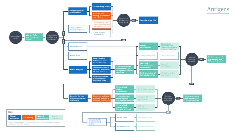 AI_Guide_Flowchart_Antigens | PDF | Biomarker | Autoimmune Disease