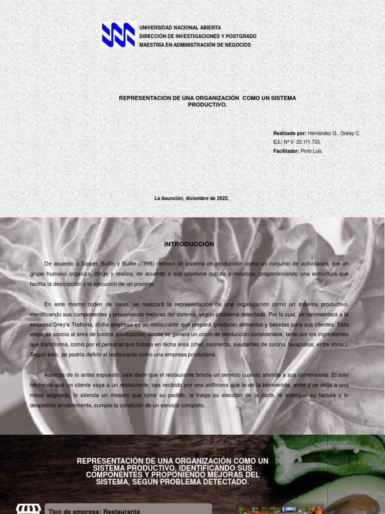 Organizacion Como Sistema Productivo-Tarea 2-Greisy Hernandez | PDF ...