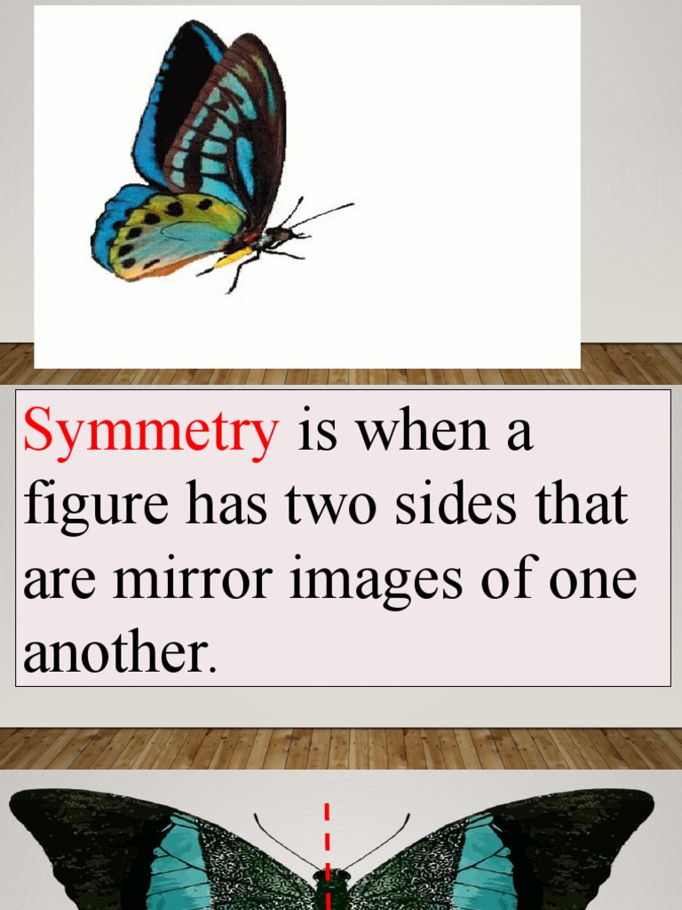 Math Symmetry | PDF