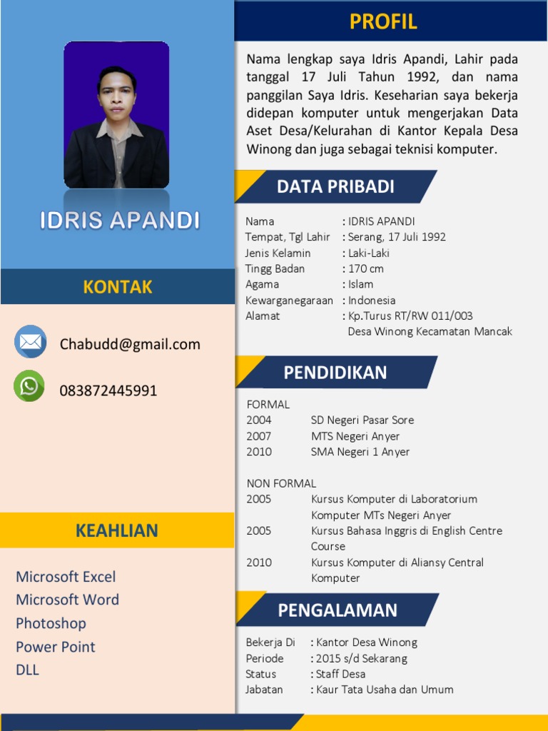 CV Idris Apandi | PDF
