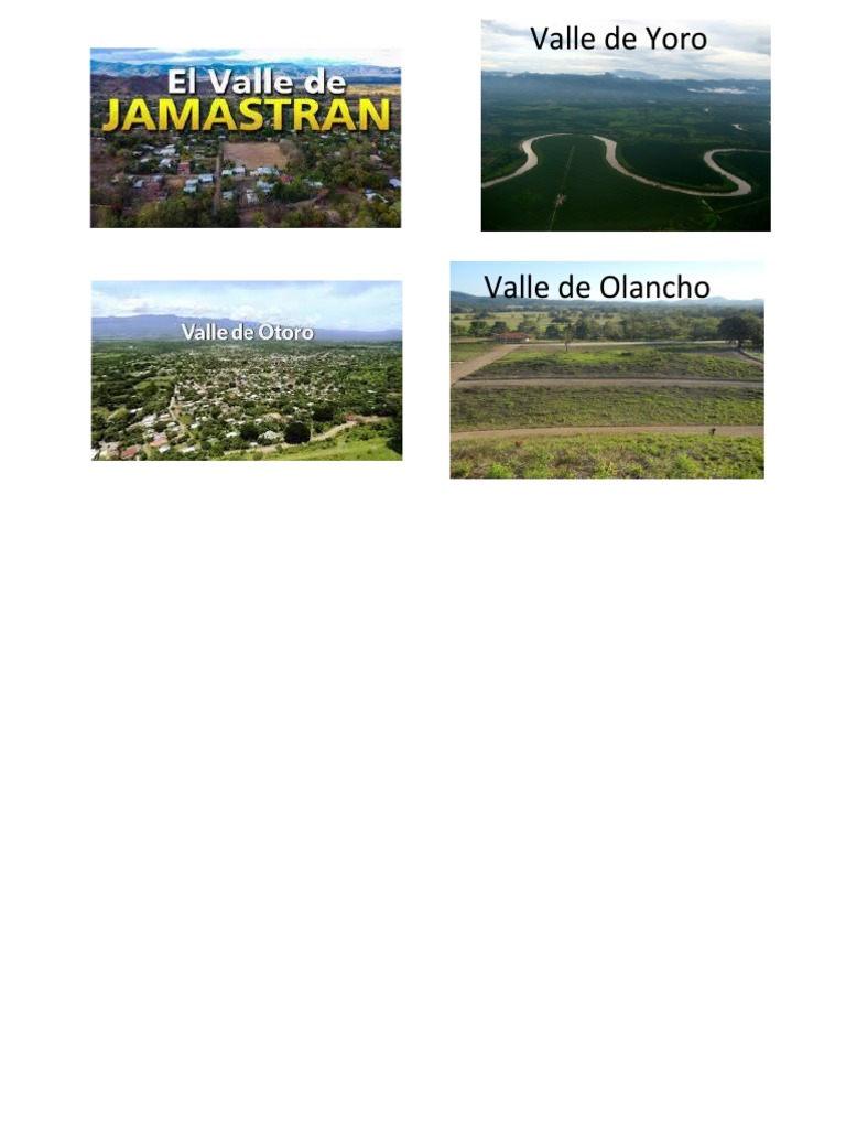 Fauna y Valles de Honduras | PDF | Honduras | Aves