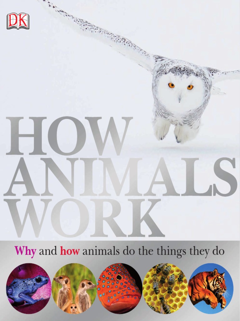 David Burnie - How Animals Work-DK Publishing (2010) | PDF