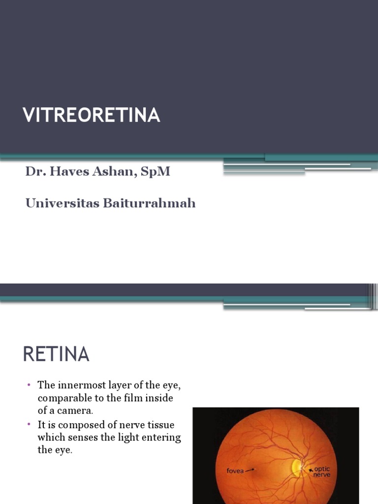 Retina | PDF