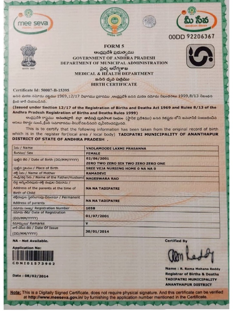 Birth Certificate | PDF