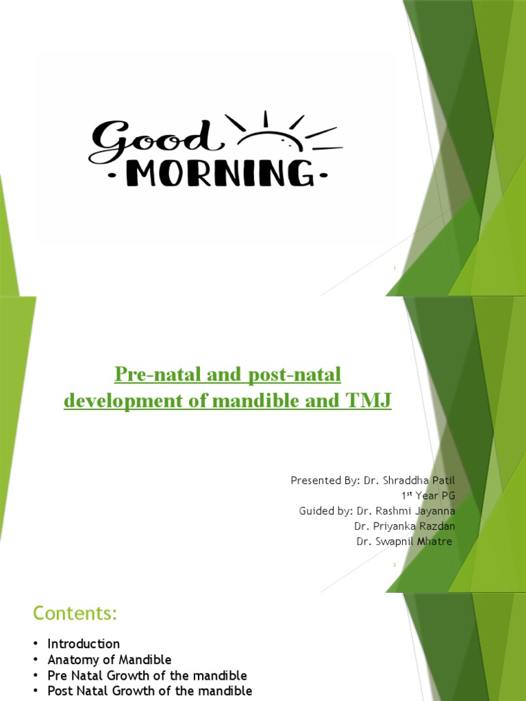 Prenatal and Postnatal Growth of Mandible and TMJ New | Download Free ...