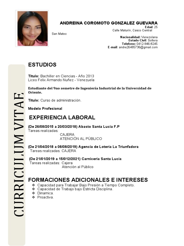 Curriculum Andre | PDF