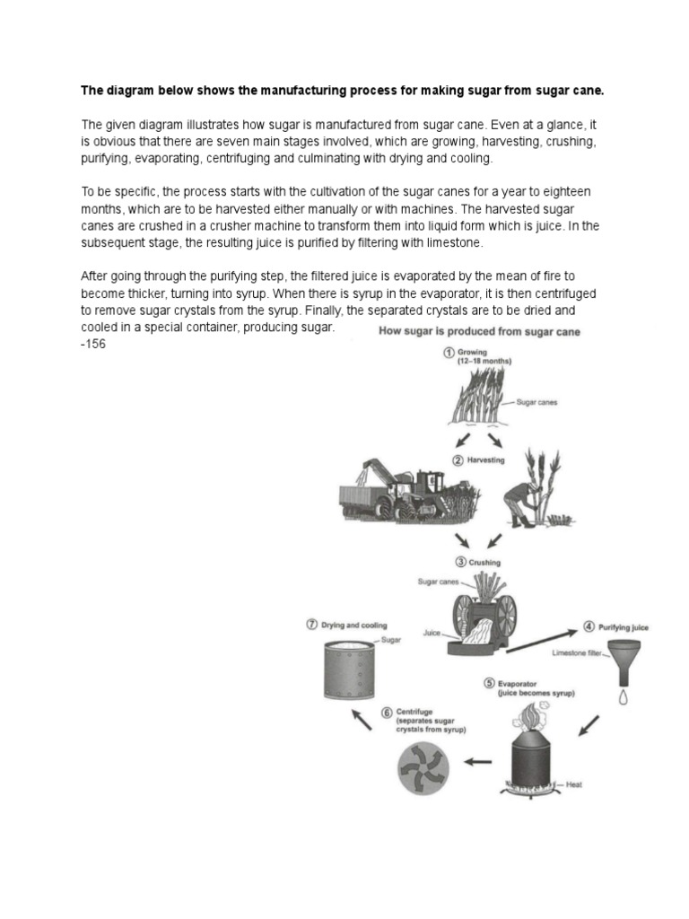 Sugar Manufacturing Process Overview | PDF | Finance & Money Management ...