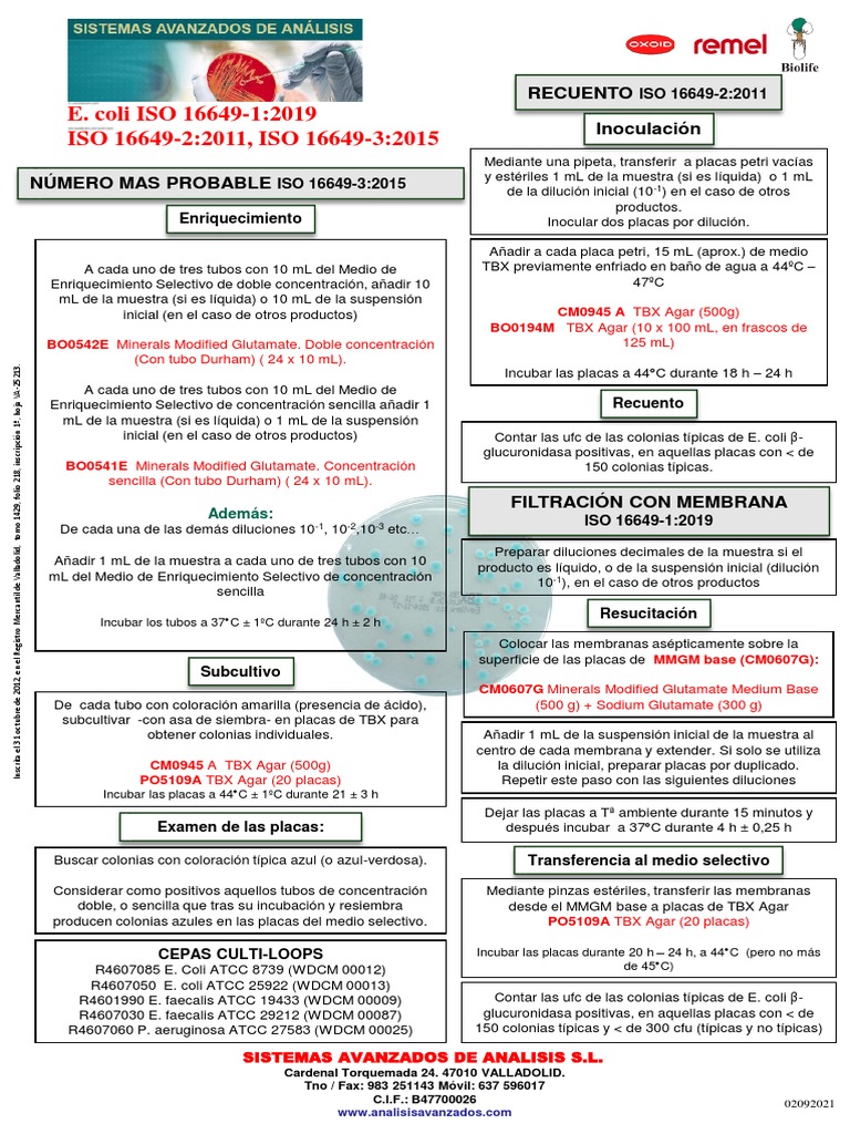 E coli ISO 16649 | PDF | Ciencias fisicas | Microbiología