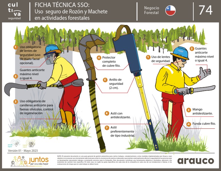 Ficha 74 Uso Seguro Del Rozón y Machete en Actividades Forestales | PDF ...