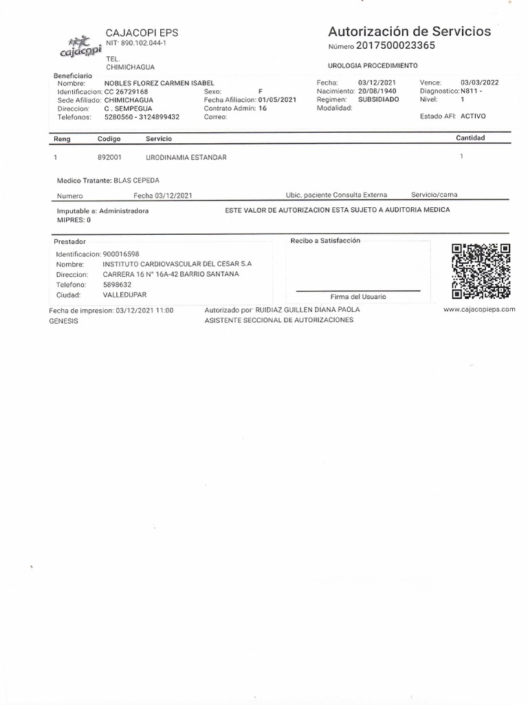 Documentos Asignacion de Cita Carmen Isabel Nobles | PDF