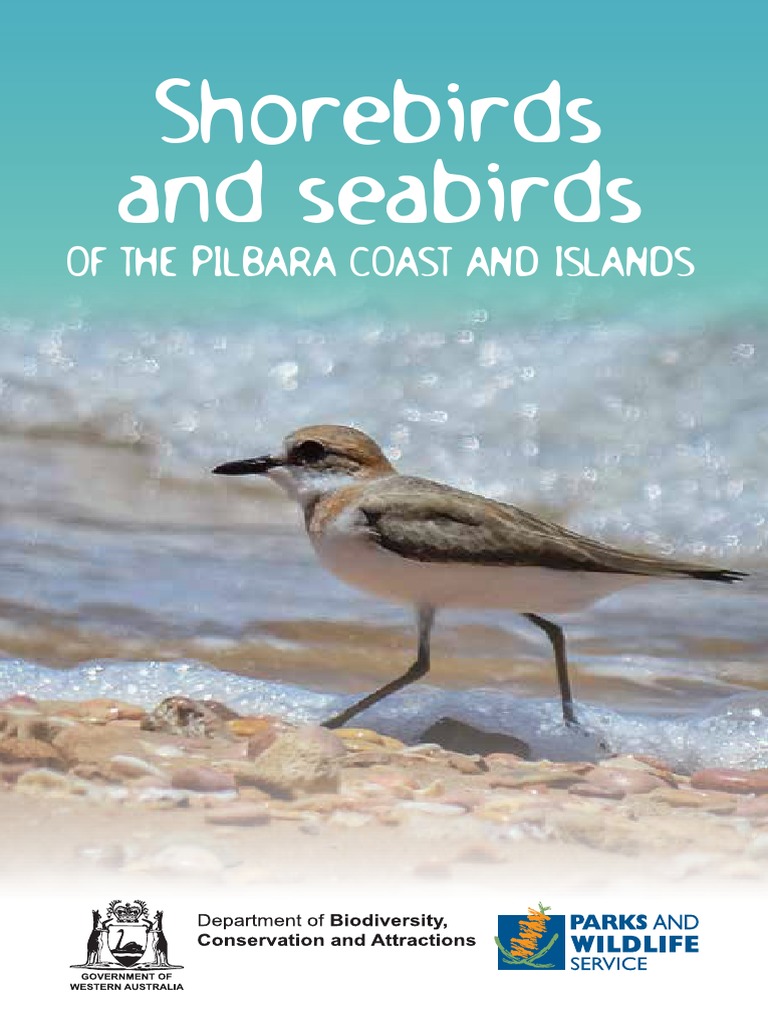 Pilbara Shorebirds and Seabirds of The Pilbara Coast and Islan ...