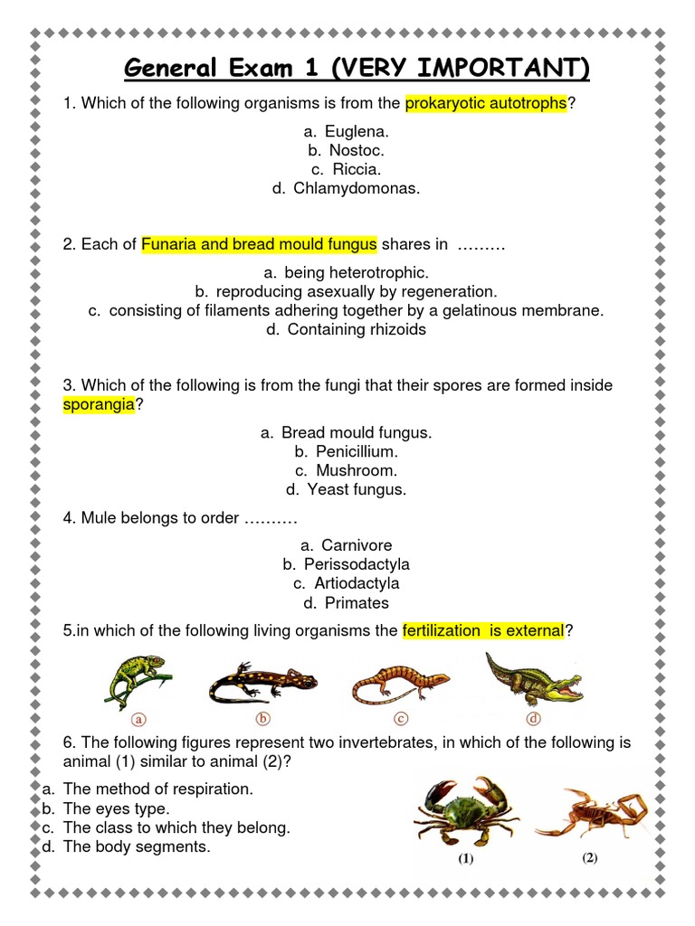 Moasser All Tests On Unit Two 2nd Term | PDF | Plants | Organisms