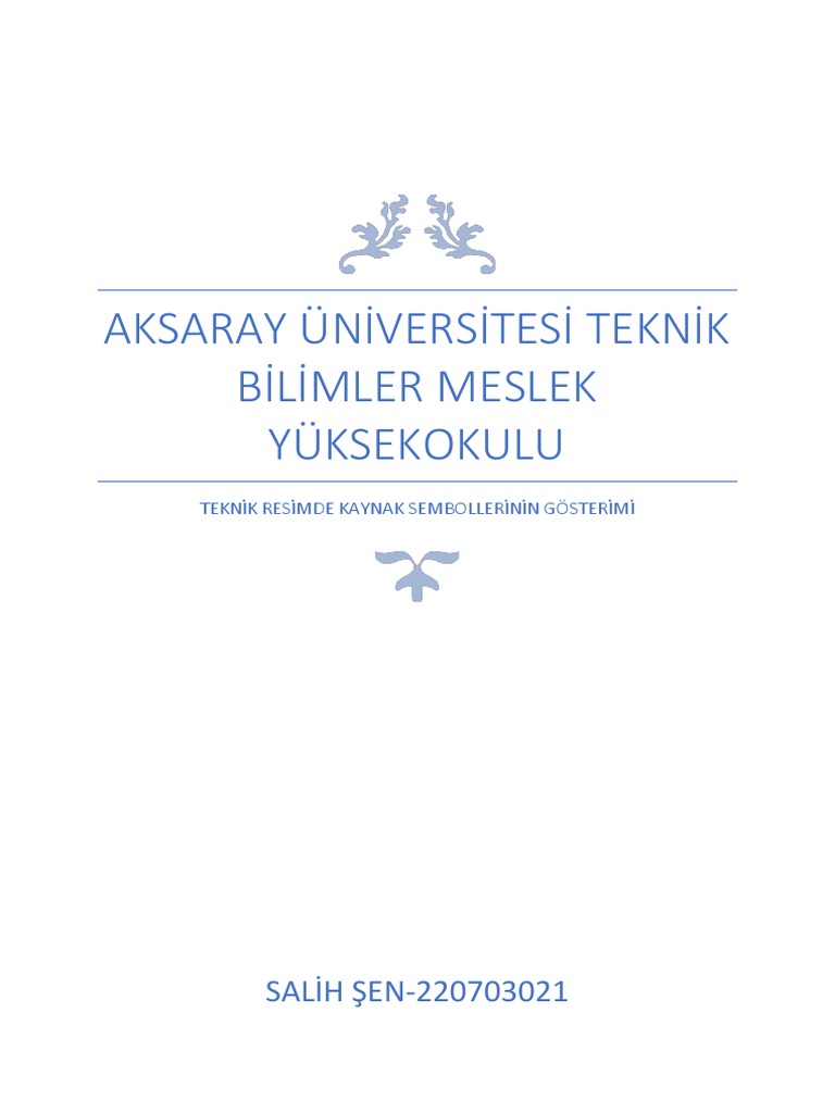 Makine Resmi Dersi Final Odevi-Salih Sen-220703021 | PDF