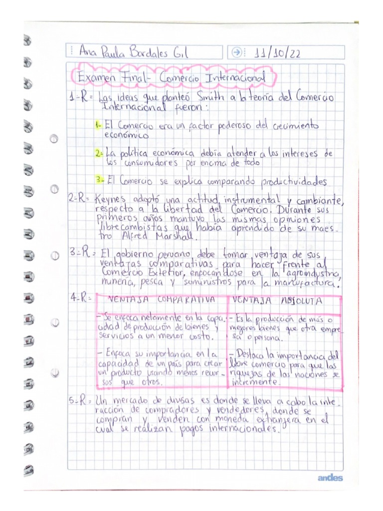 Examen Final CI - Ana Paula Bardales | PDF