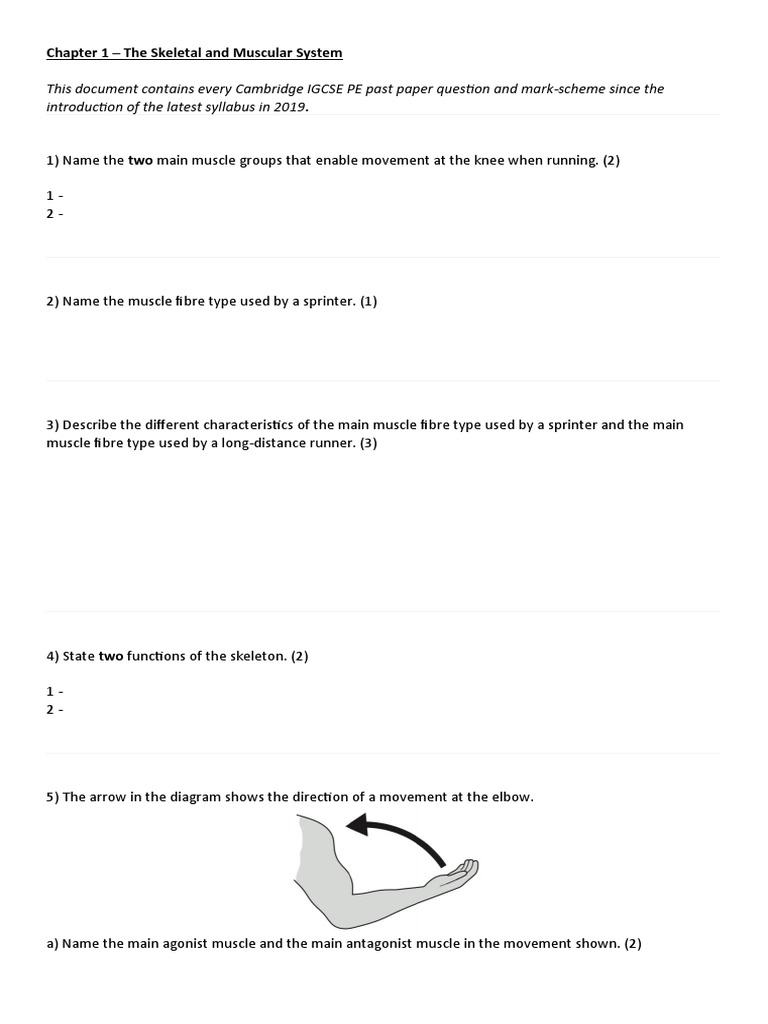 The Skeletal Muscular System Questions | PDF