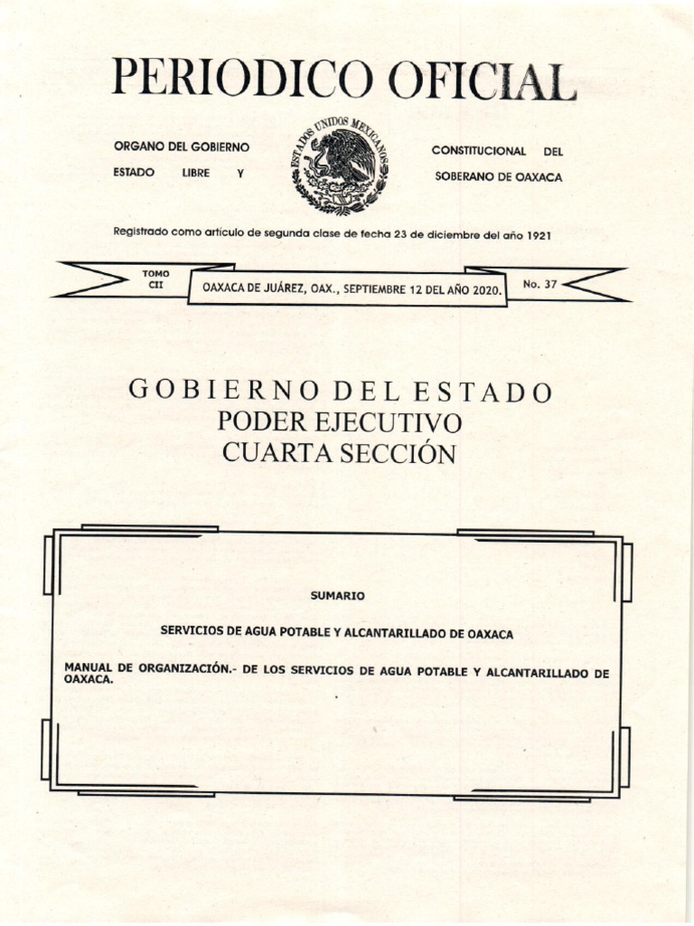 MANUAL DE ORGANIZACIÓN DE SAPAO | PDF