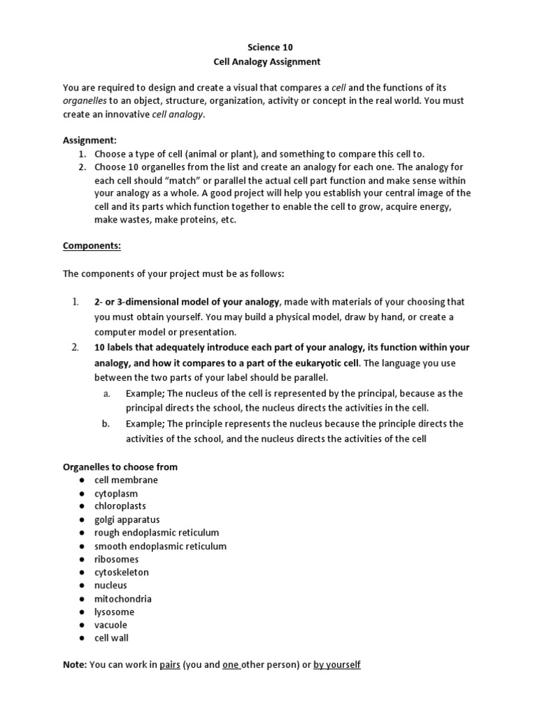 Cell Analogy Project Guidelines | PDF | Cell (Biology) | Cell Nucleus