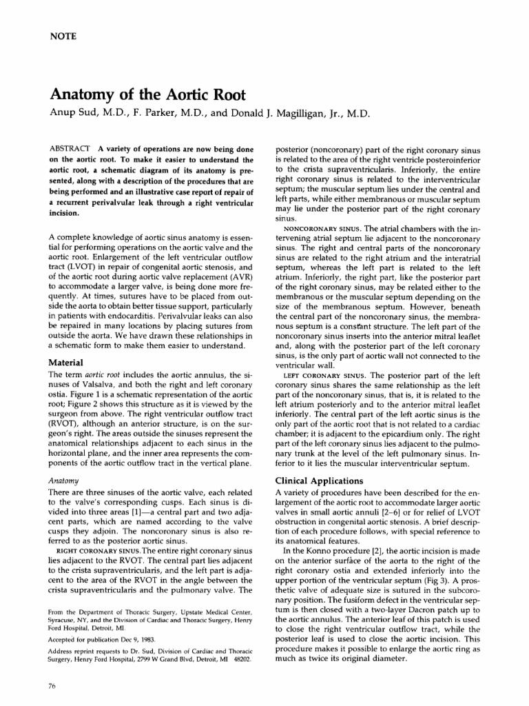 Anup Sud Aortic root anatomy | PDF