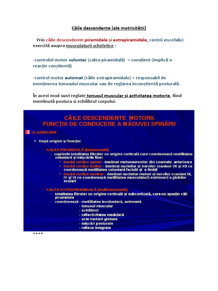 Caile Descendente | PDF