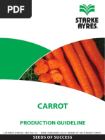 Carrots | PDF | Carrot | Agriculture