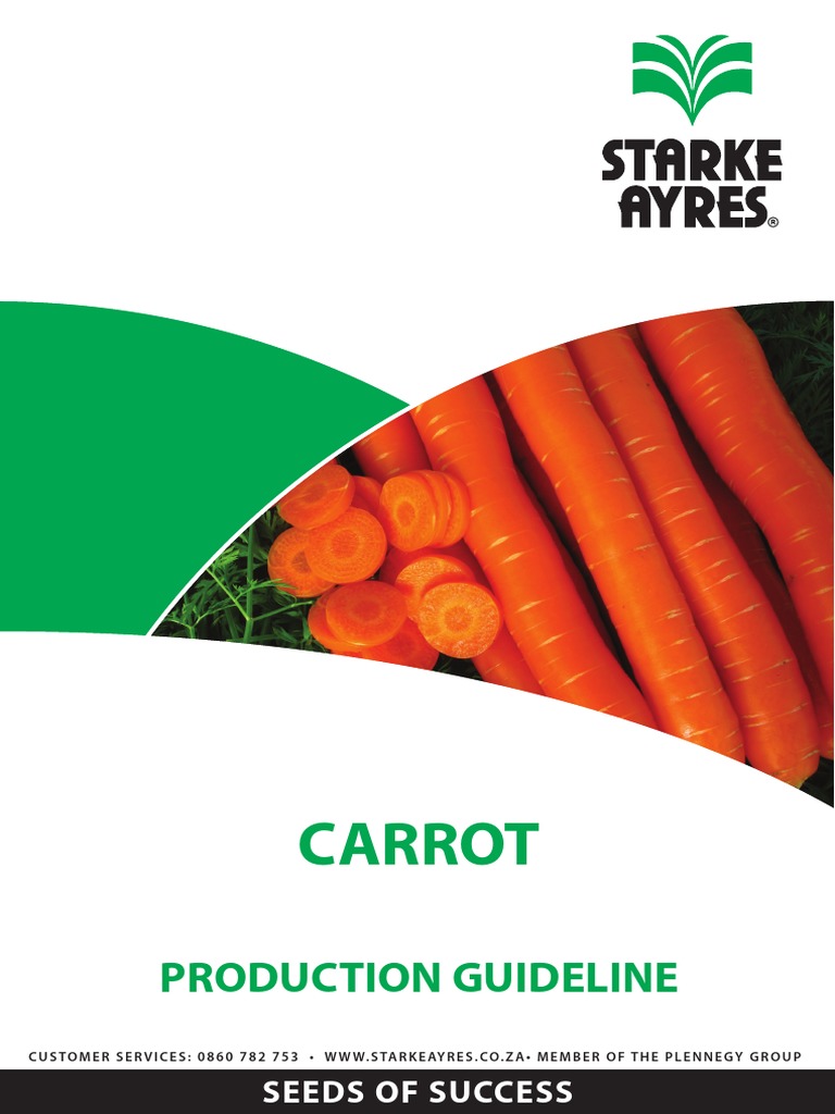 Carrot Production Guideline 2019 | PDF | Fertilizer | Carrot