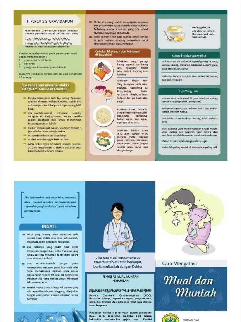 PDF Leaflet Mengatasi Mual Muntah | PDF