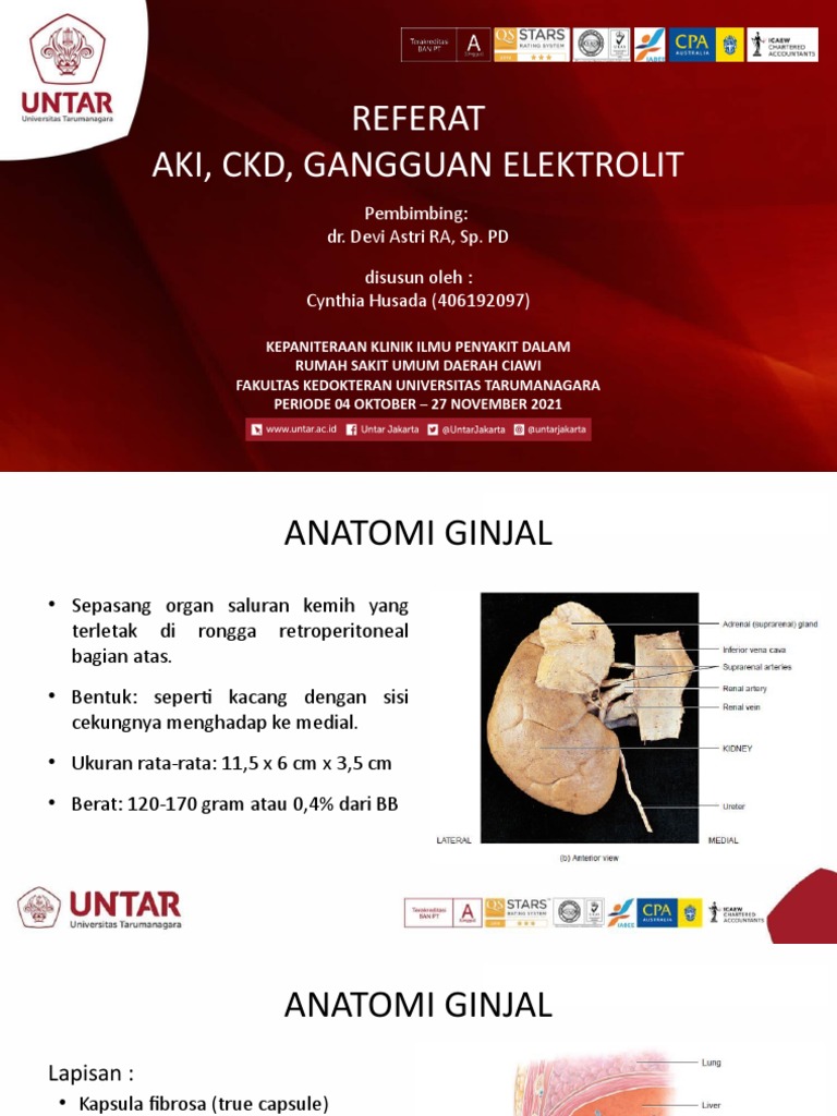 AKI, CKD, GGN Elektrolit - Cynthia Husada | PDF