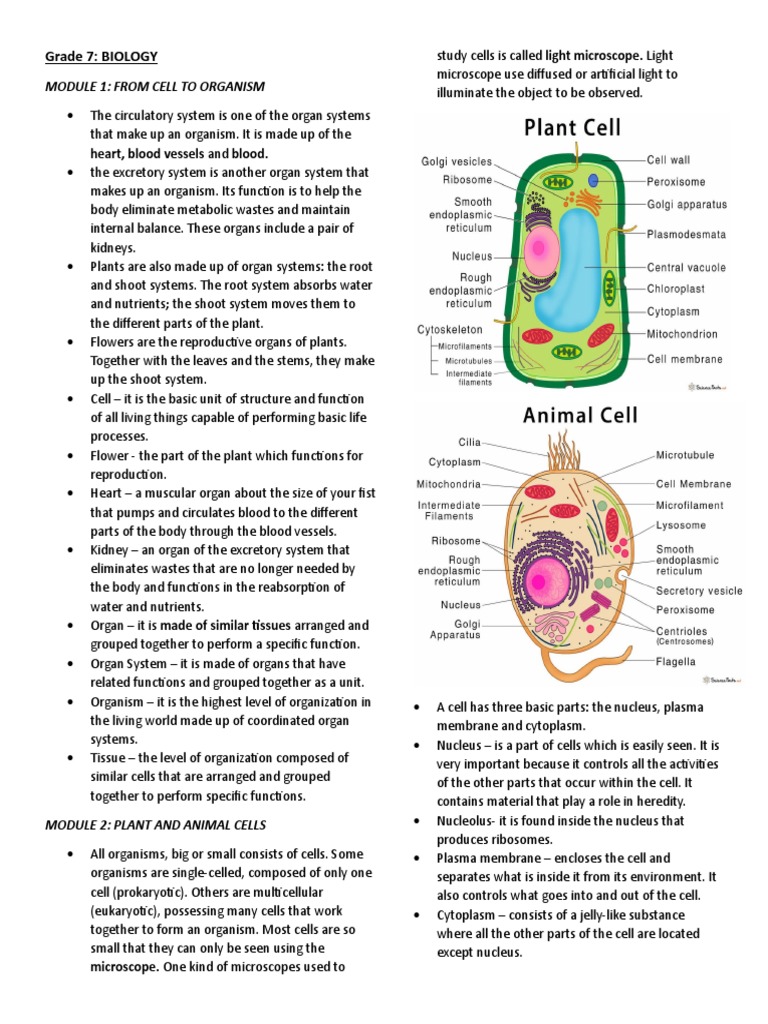 Eagle Quiz Biology Reviewer | PDF | Cell (Biology) | Sexual Reproduction
