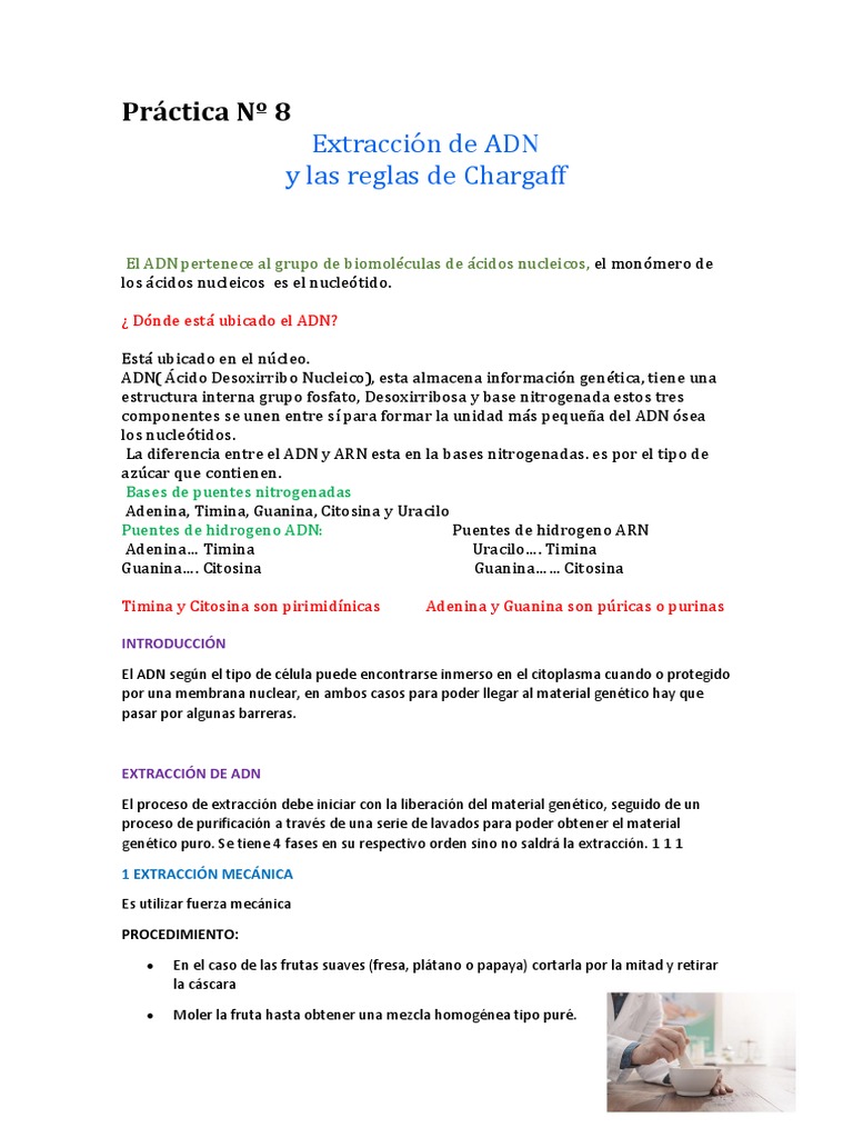 Reglas de Chargaff en ADN | PDF