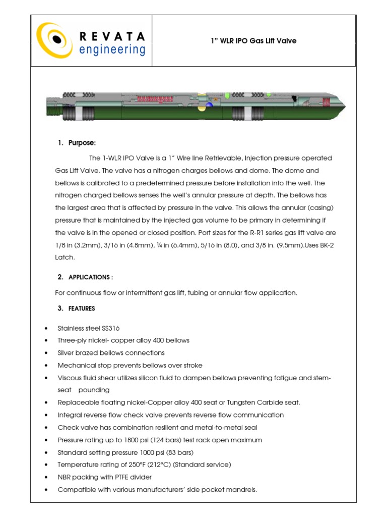 Revata-R1 IPO GLV | PDF