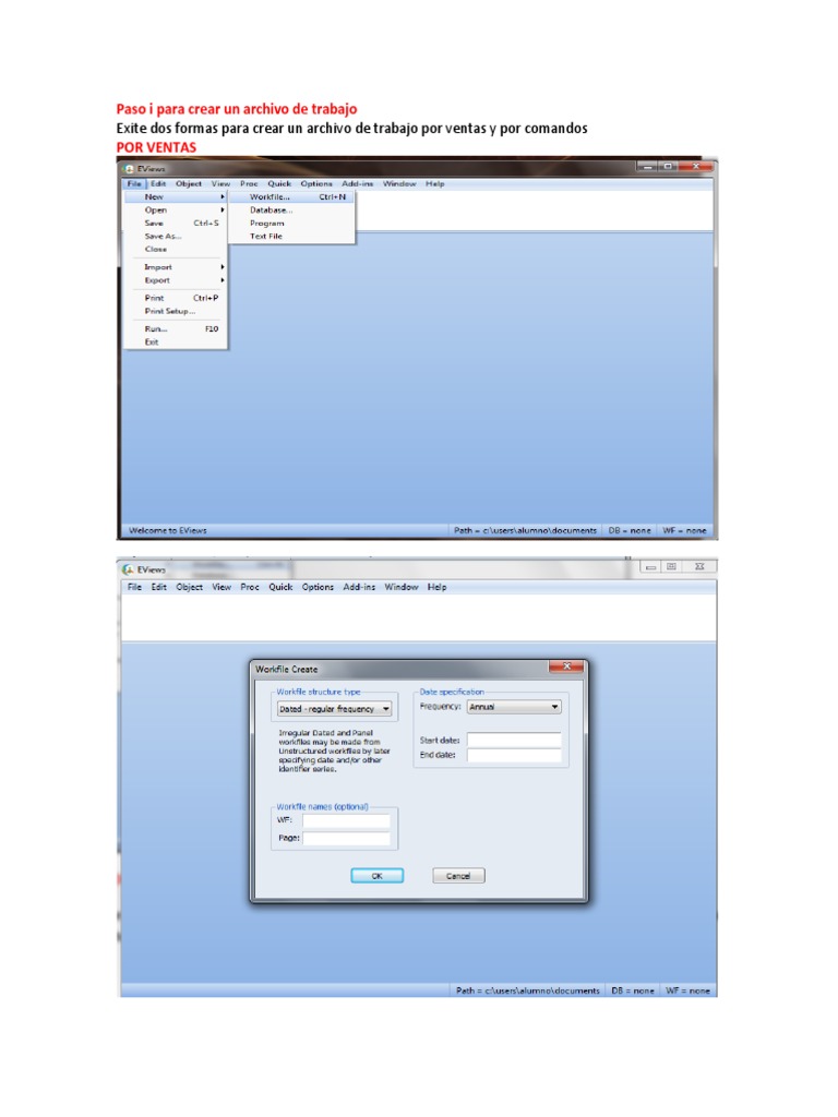 Manual Del Programa Eviews | PDF | Econometría | Teoría estadística
