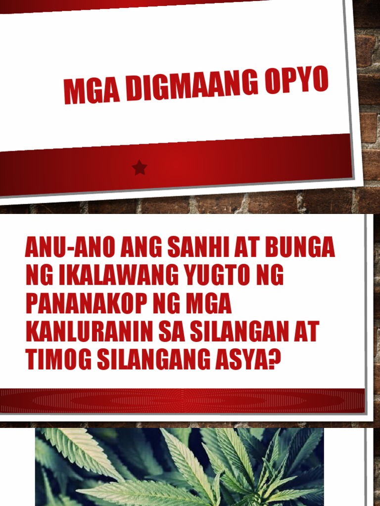 Digmaang Opyo | PDF