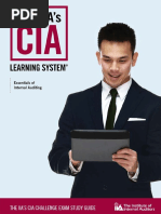 IIA Maturity Model PDF | PDF | Internal Audit | Audit