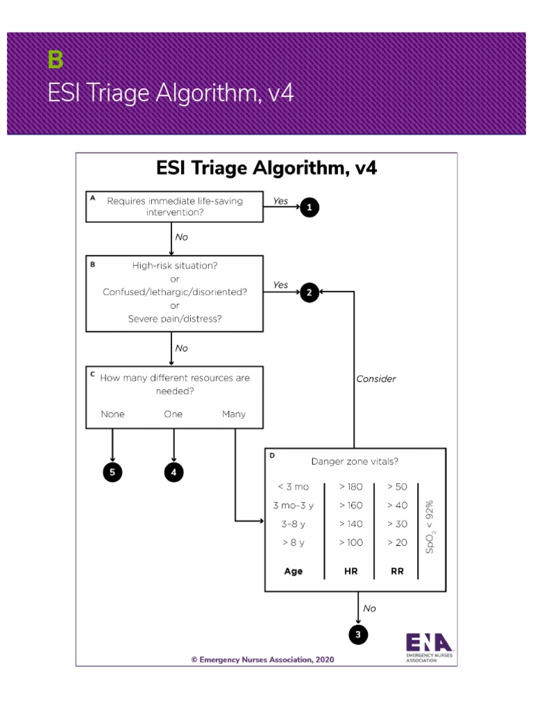 Esi Algorithm Pdf