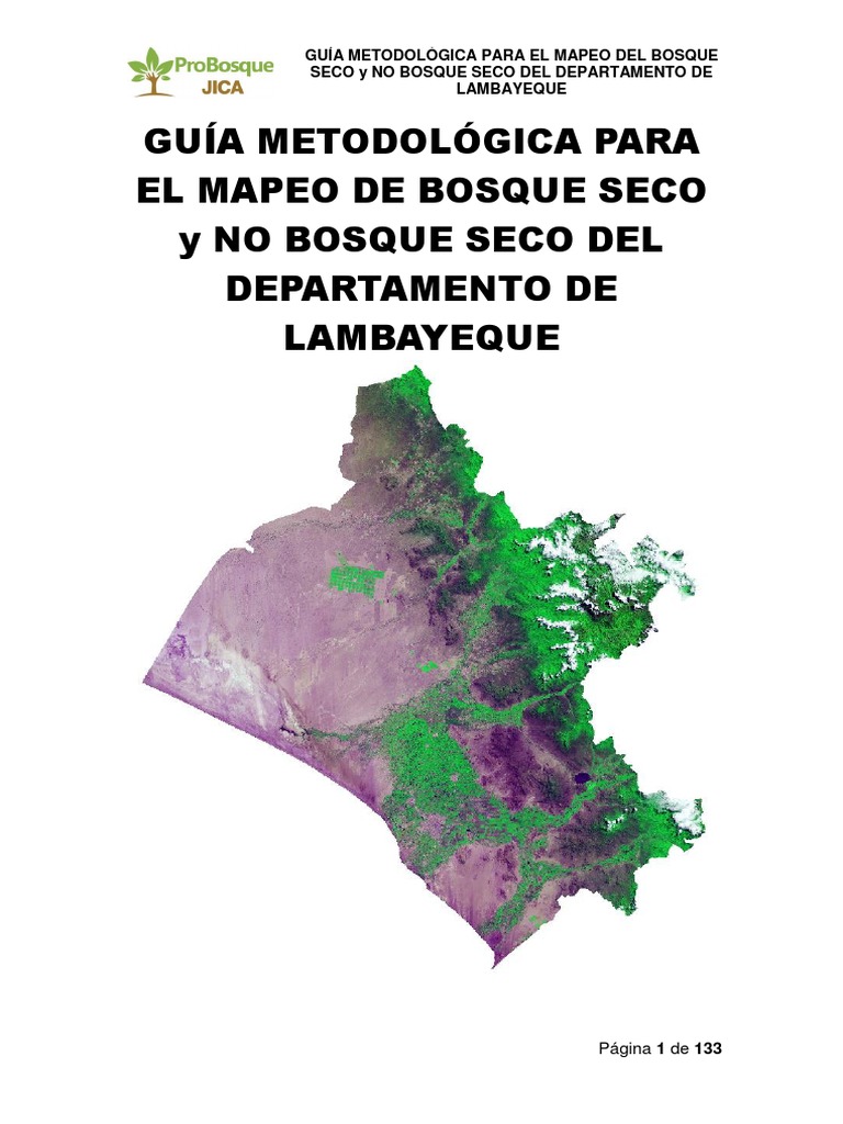 Guia Metodologica Mapeo Bosque y No Bosque Seco Lambayeque | PDF ...