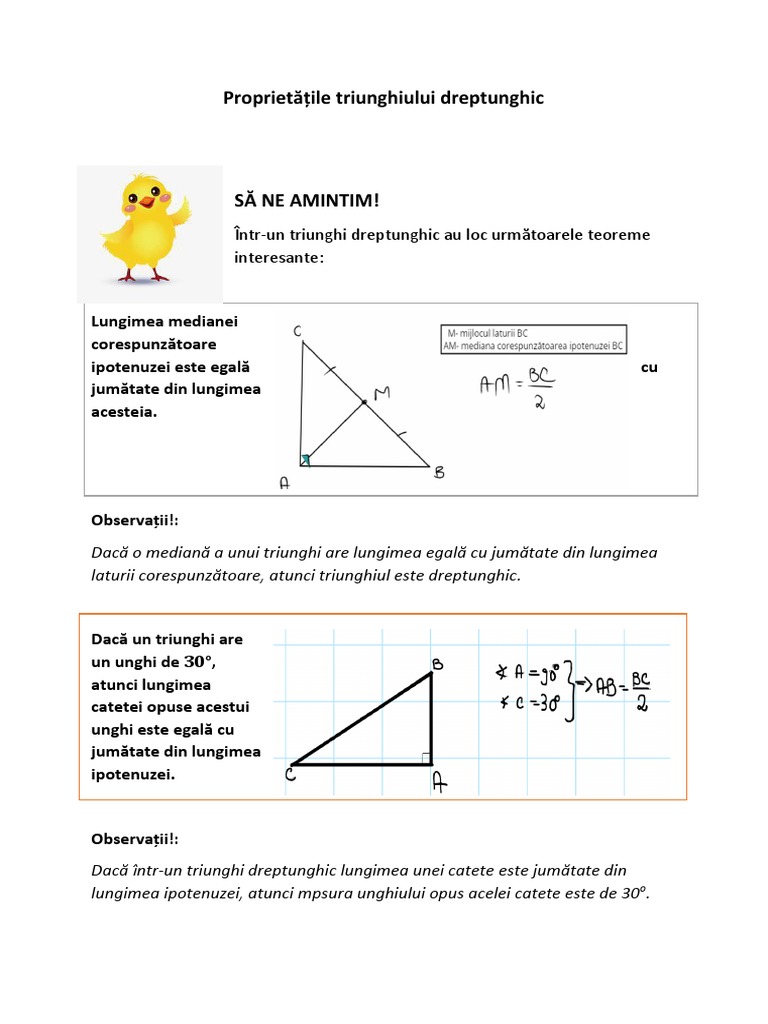 0 Proprietatile Triunghiului Dreptunghic | PDF