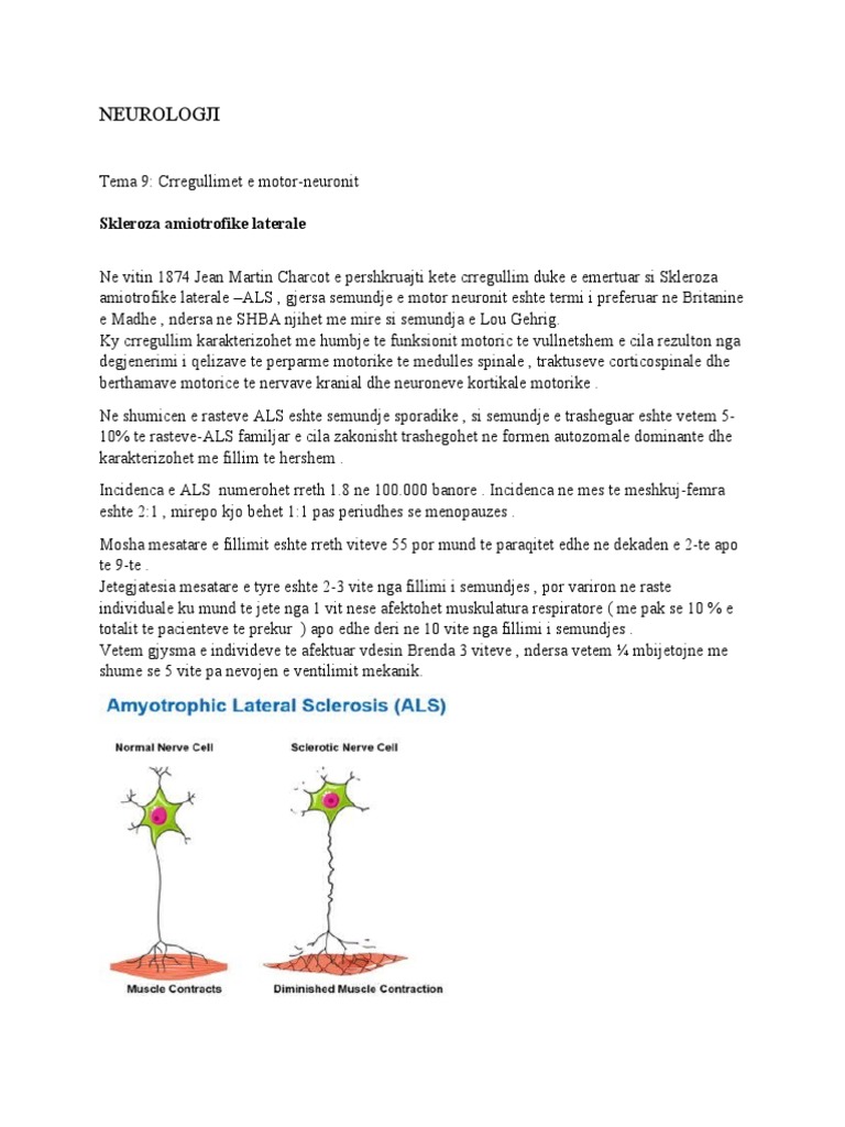 Neurologj 1 | PDF