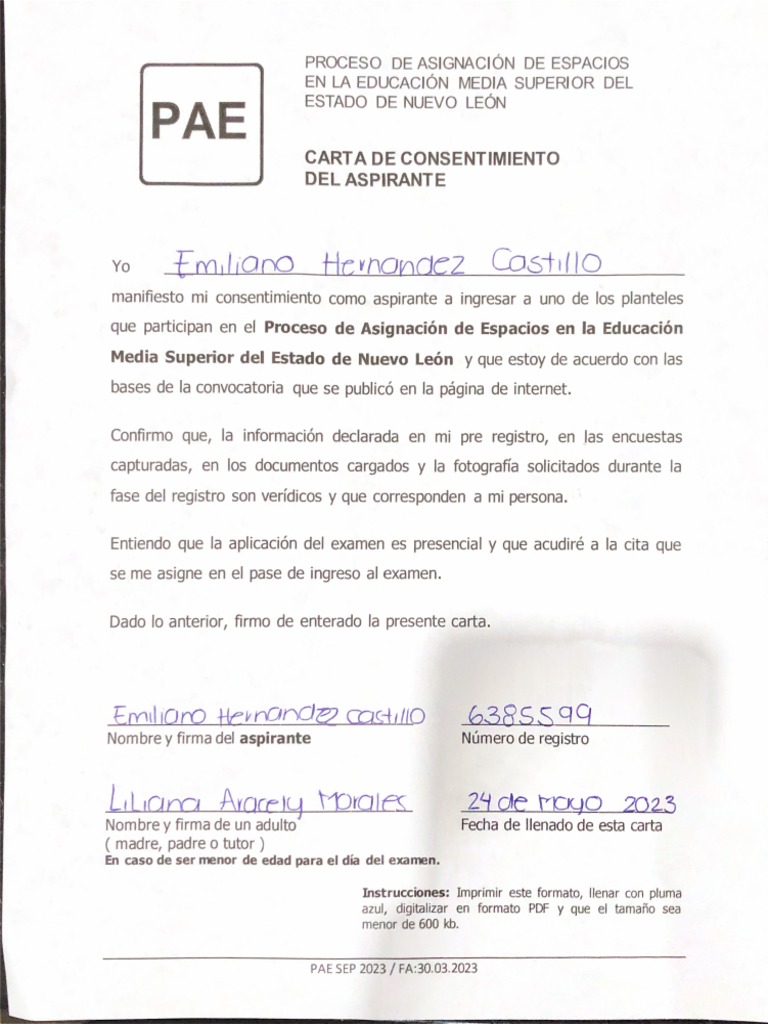 Carta Emiliano | PDF