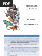 Phylum Chordata (Notes) | PDF | Vertebrates | Chordates