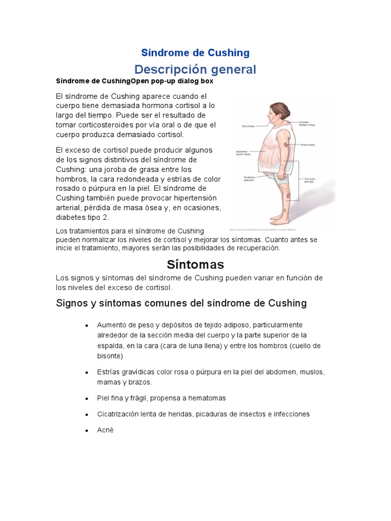 Síndrome de Cushing: síntomas y causas | PDF | Sistema endocrino ...