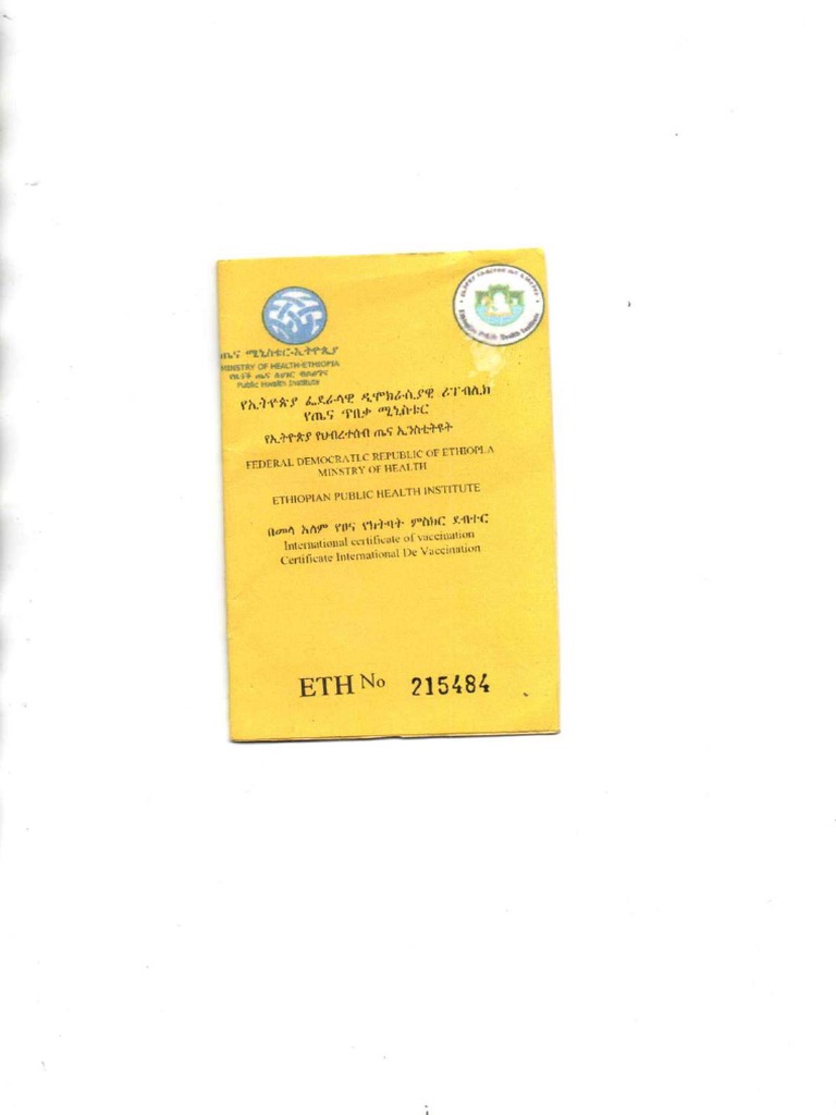 Yellow Fever | PDF